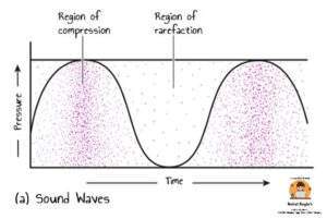 Physiology of Hearing - Mechanism, Flowchart, Diagram, Notes