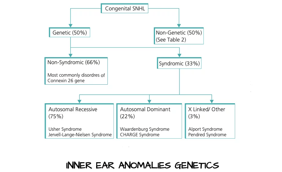 Types of Hearing loss - Conductive, Sensorineural, Mixed, Functional
