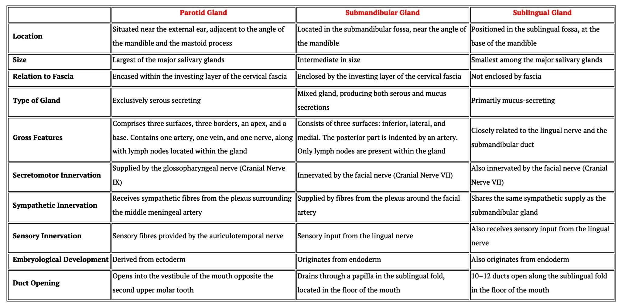 Anatomy of Submandibular Gland - Structure, Function, and Clinical Insights